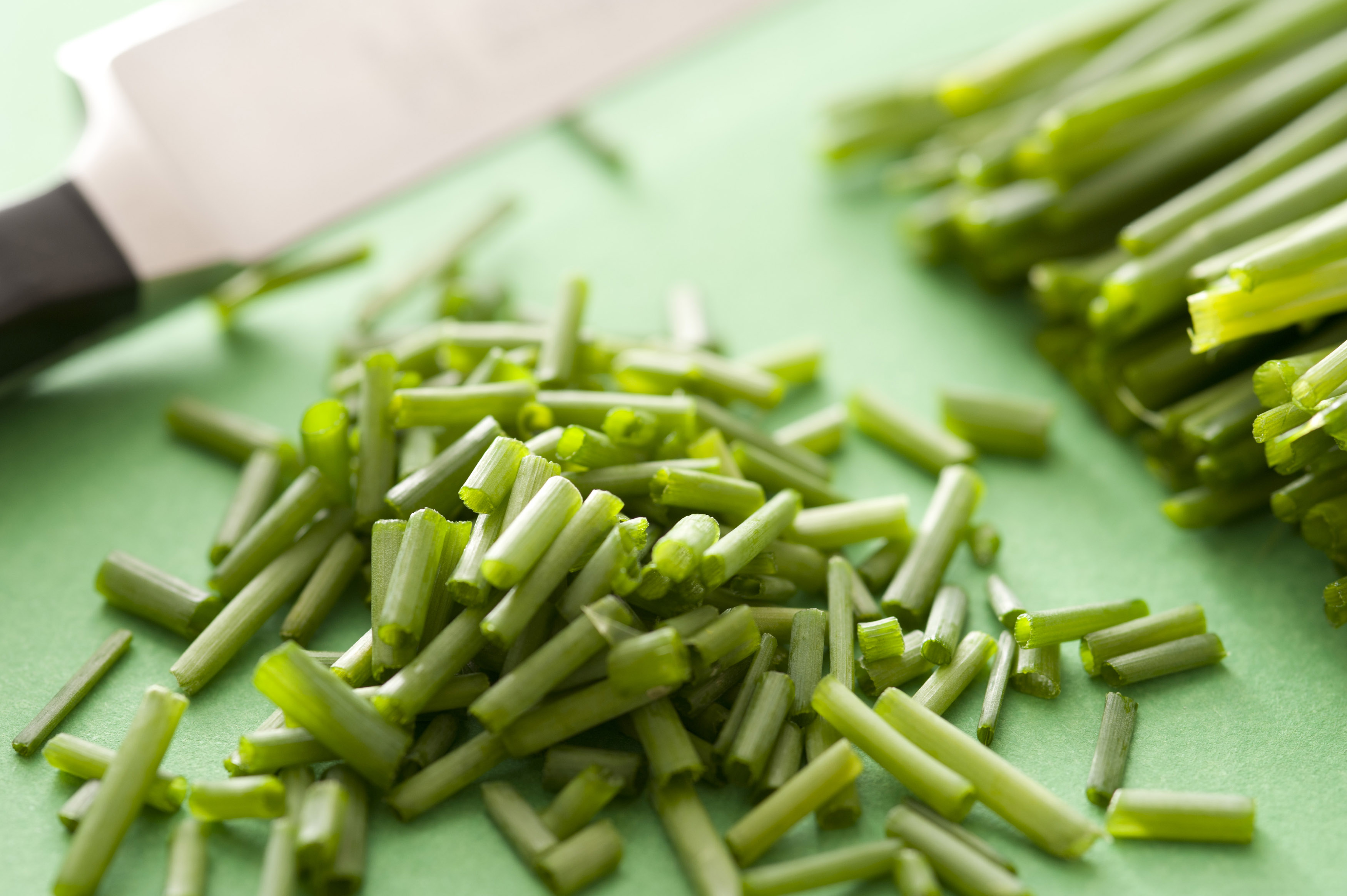 Fresh chopped green chives - Free Stock Image